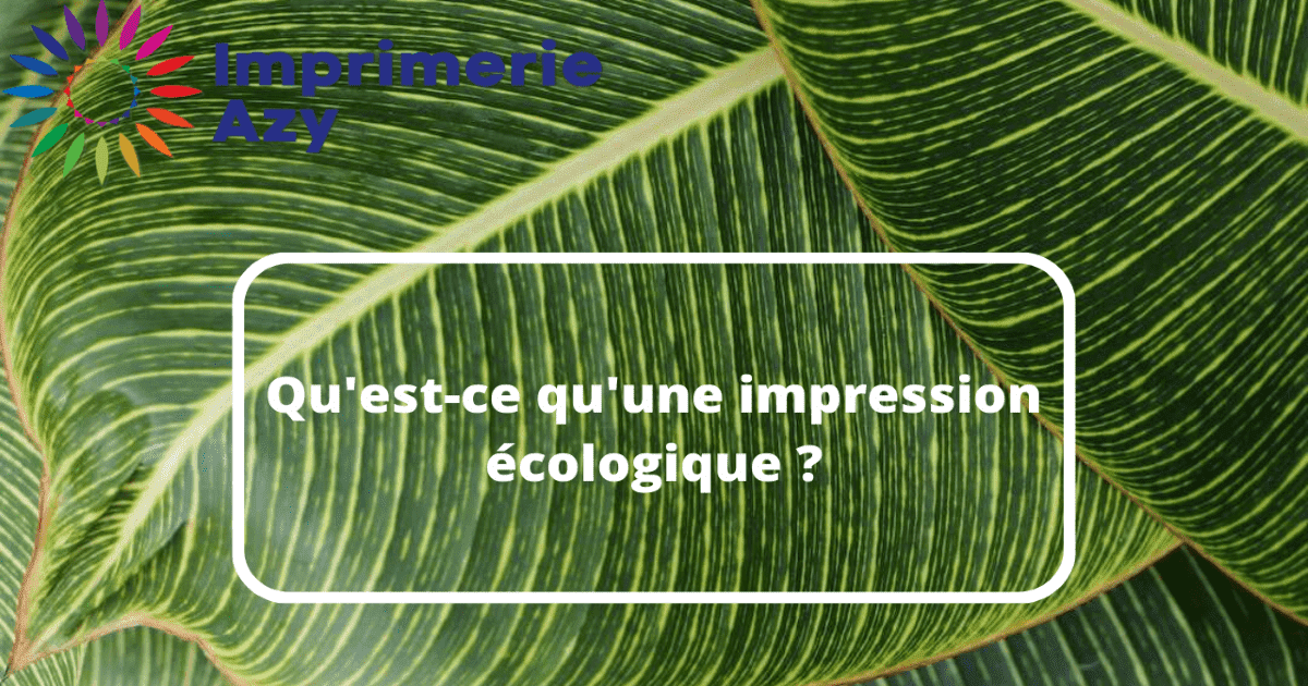 Qu'est-ce qu'une impression écologique ? - Imprimerie Azy
