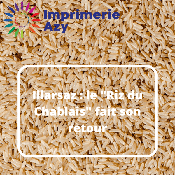 Illarsaz : le "Riz du Chablais" fait son retour - Imprimerie Azy